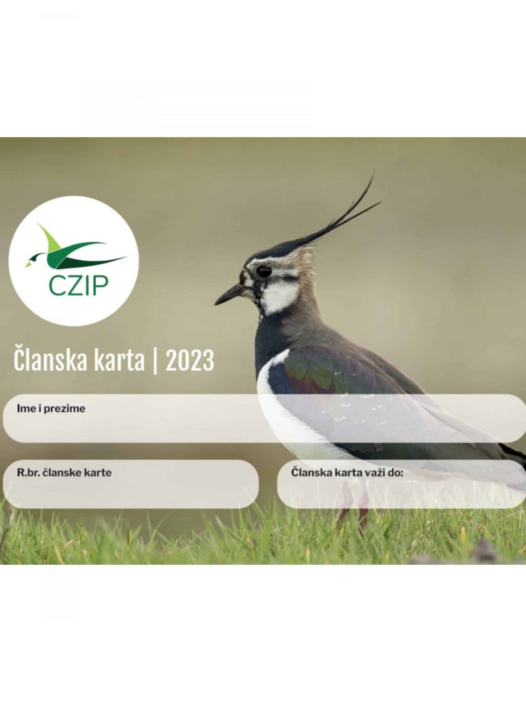 Family membership - CZIP