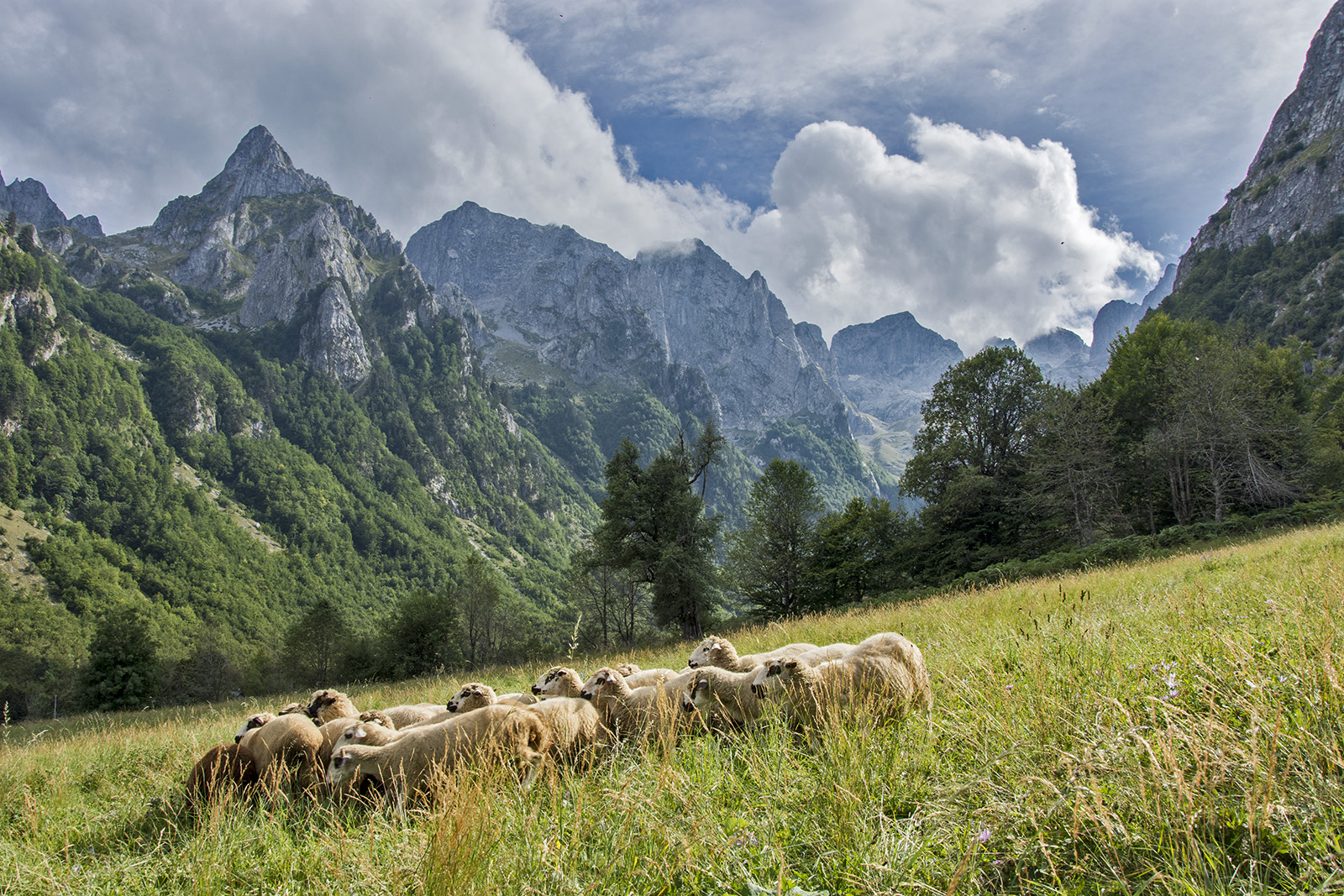 Post-corona bucket list – Prokletije - CZIP