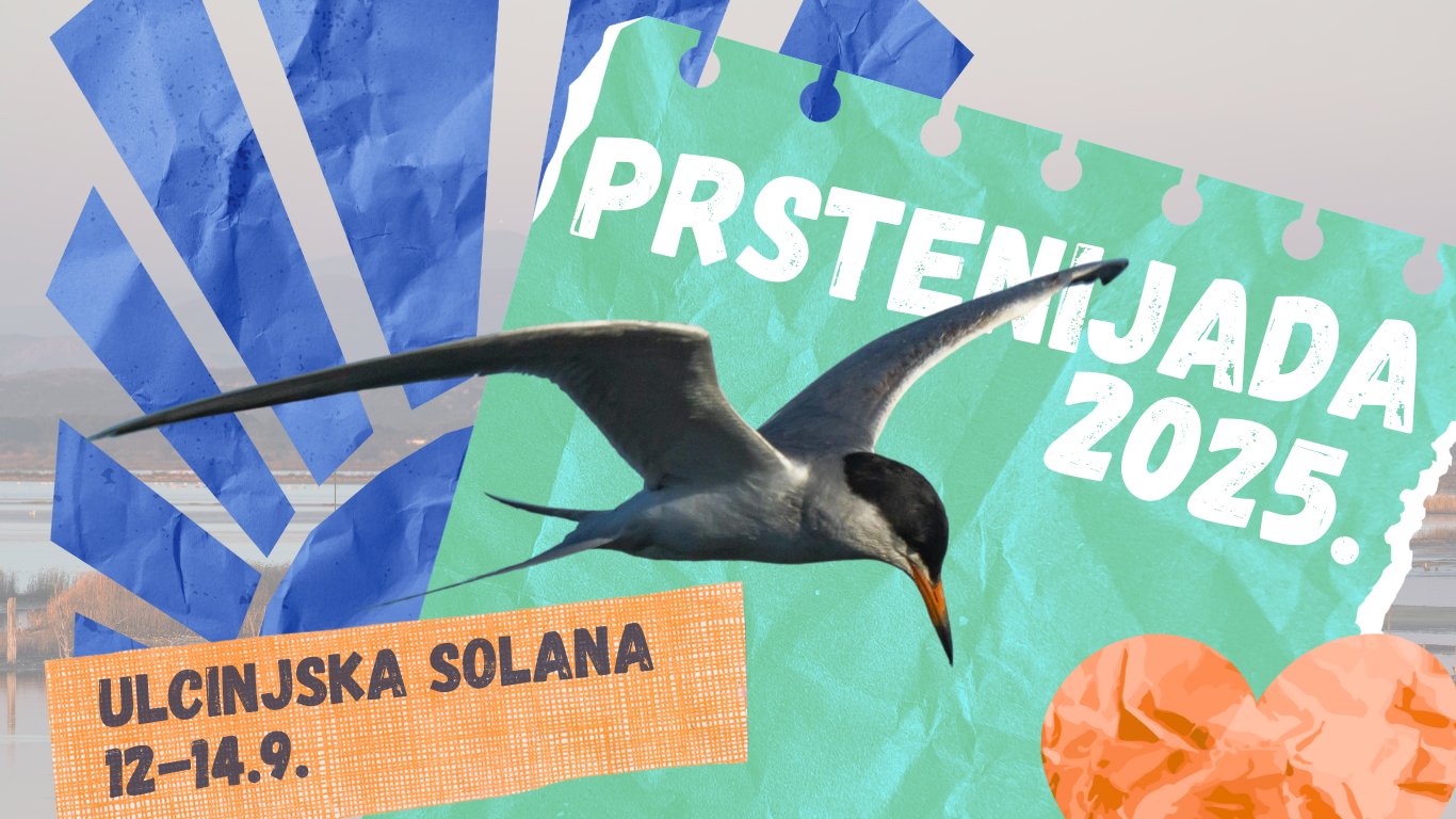 Prstenijada 2025: Pravila ponašanja i uputstva za posjetioce i kampere ...